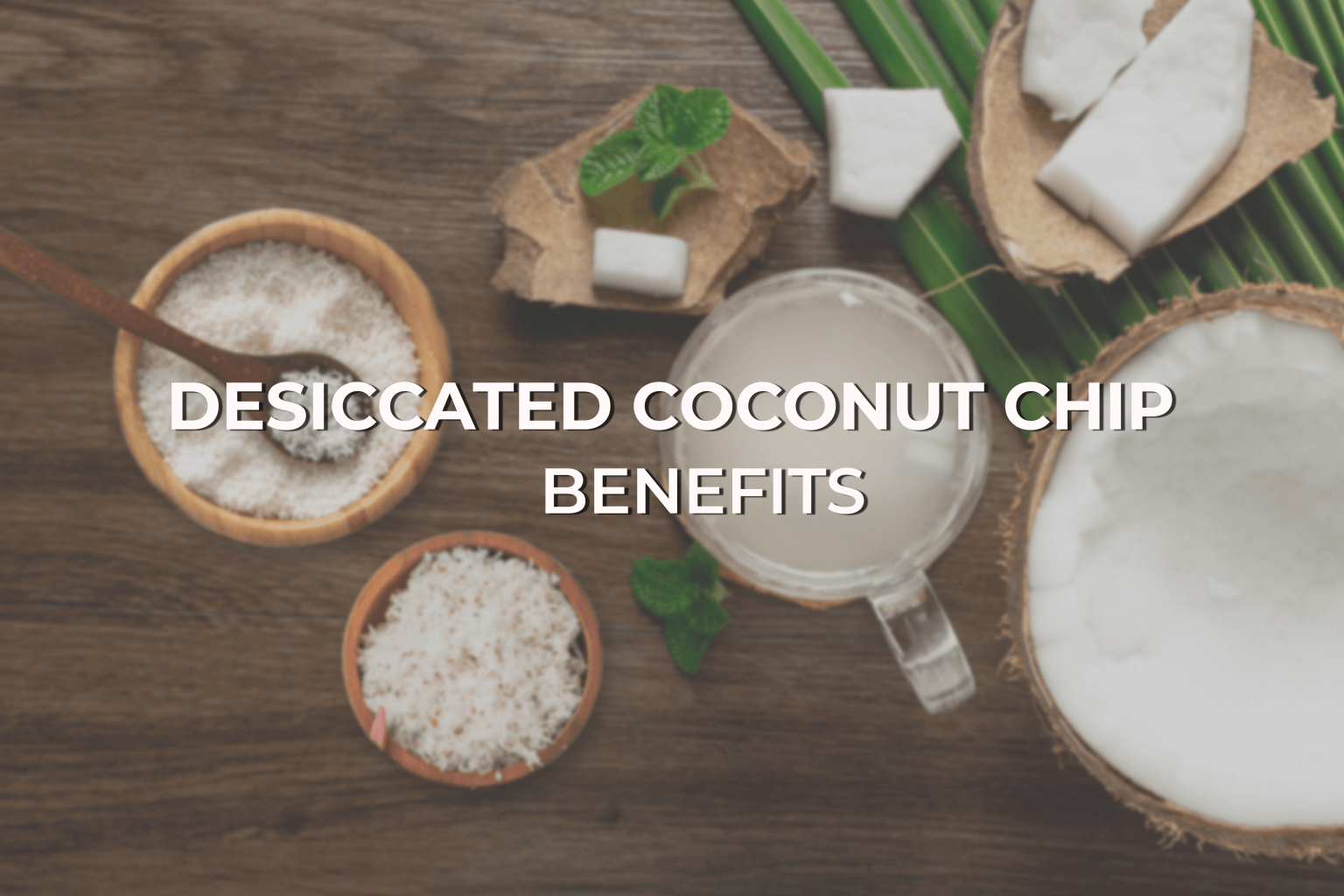 Desiccated Coconut Chip Benefits - Celebes